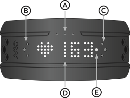Mio FUSE - Manual del monitor de frecuencia cardíaca y rastreador de ...